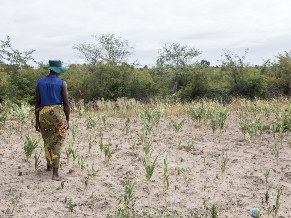 Zimbabwe Braces for Deepening Hunger | Oxfam Ireland