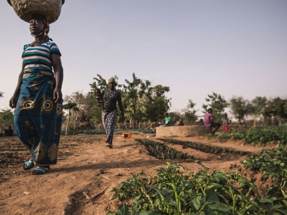 ‘Net zero’ - a dangerous distraction gambling with our planet’s future ...